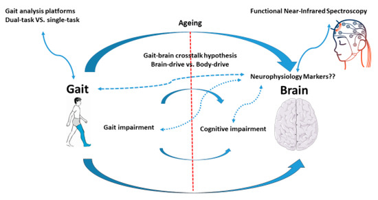 A Review of the Measurement of the Neurology of Gait in Cognitive ...