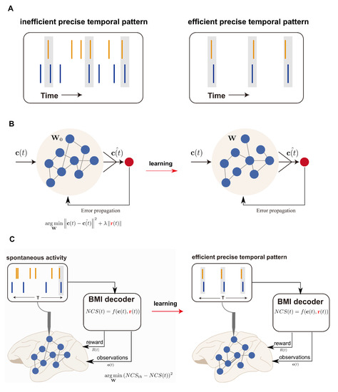 Volitional Generation of Reproducible, Efficient Temporal Patterns