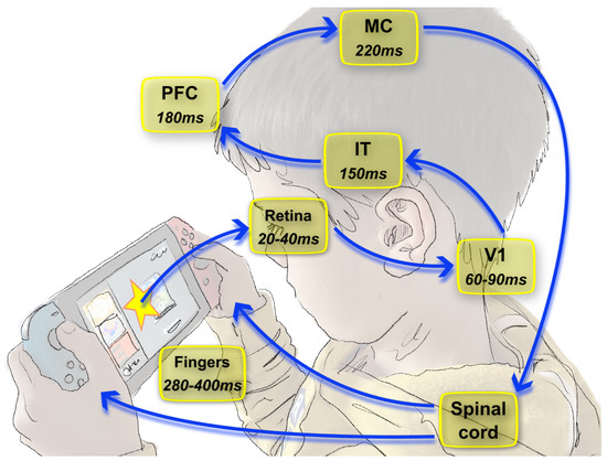Precise Spiking Motifs in Neurobiological and Neuromorphic Data