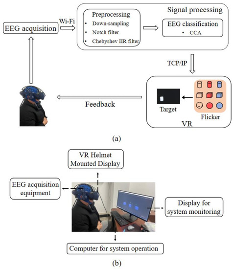 Brain Sciences | Free Full-Text | Optimization of SSVEP-BCI Virtual ...