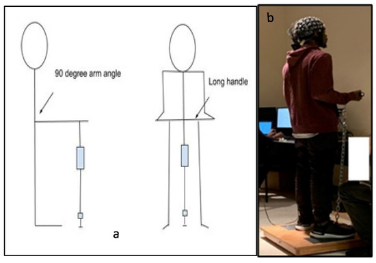 Isometric Arm Forces Exerted by Females at Different Levels of Physical ...