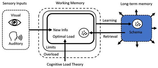 Examining Factors Influencing Cognitive Load of Computer Programmers
