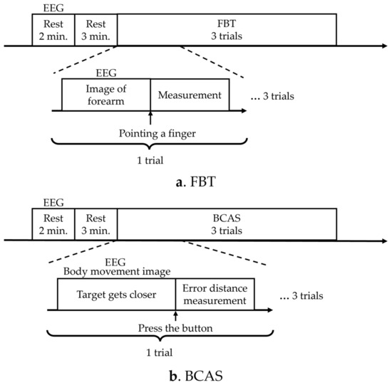 Development and Validation of the Body Cognition Assessment System