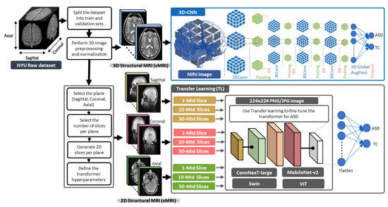 Multi-Slice Generation sMRI and fMRI for Autism Spectrum Disorder ...