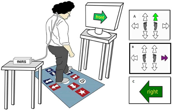 Brain Sciences | Free Full-Text | Prefrontal and Motor Planning ...