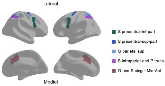 Frontoparietal Response to Working Memory Load Mediates the Association ...