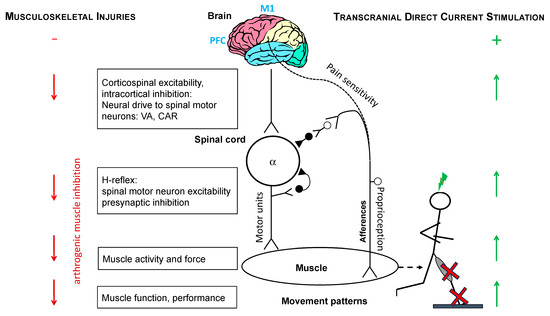 A New Way to Treat Central Nervous System Dysfunction Caused by ...