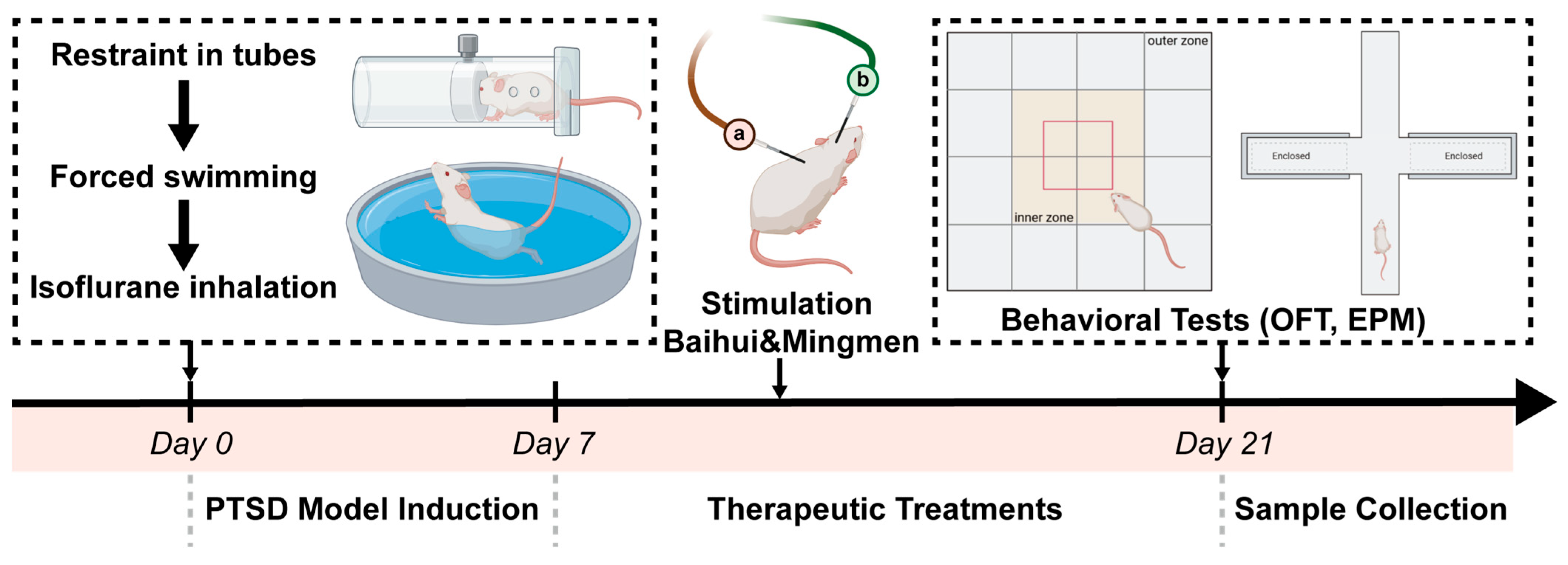 Neuromodulatory Effects of Alternating Current Electroacupuncture on ...