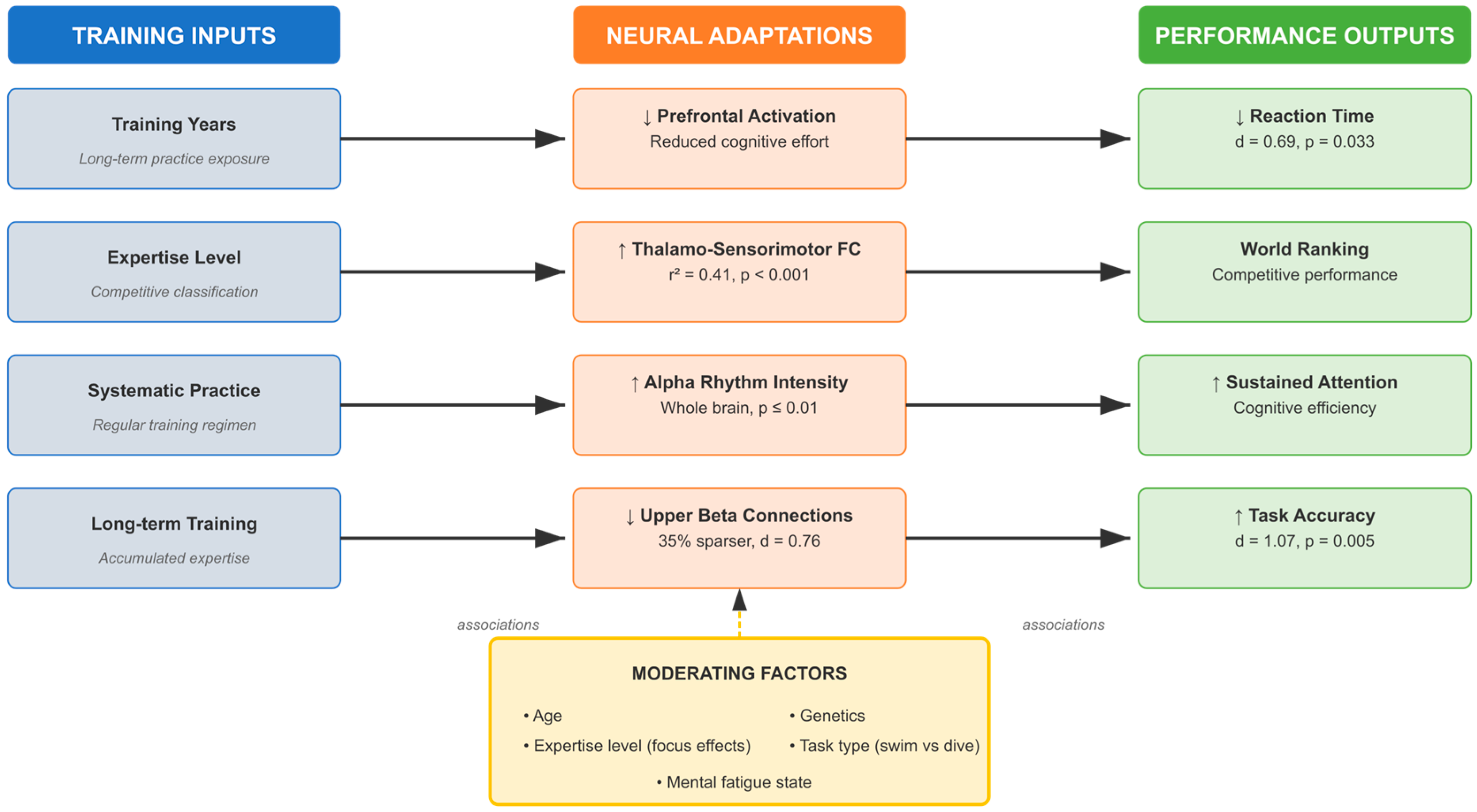 Neural Efficiency and Sensorimotor Adaptations in Swimming Athletes: A ...