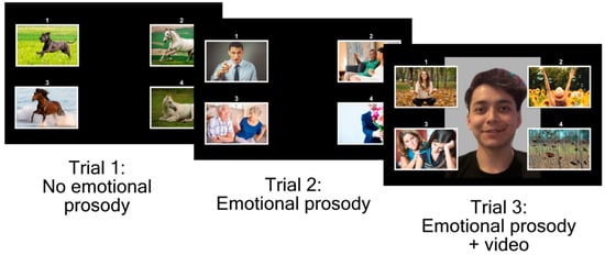 Your Mileage May Vary: Individuals with Primary Progressive Aphasia ...