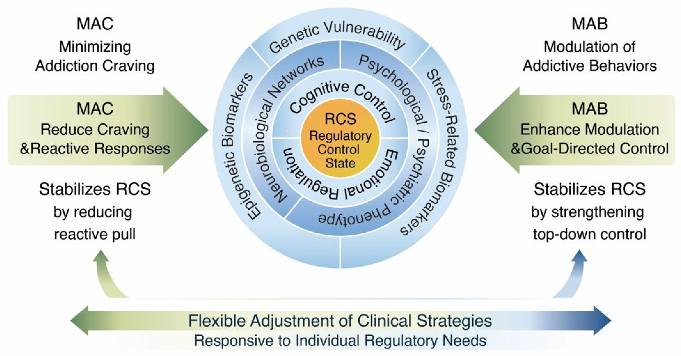 MAC/MAB–RCS: An Integrative Regulatory Control Framework for Risk ...