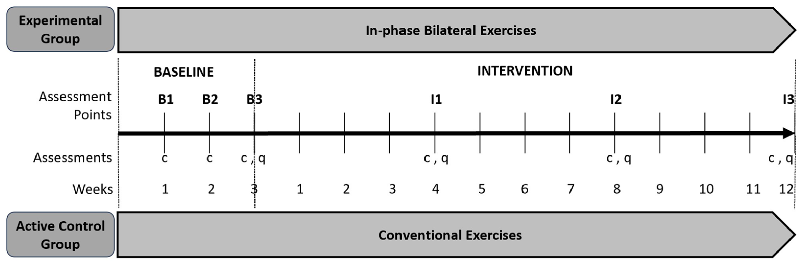 In-Phase Bilateral Upper Limb Exercises Improve Cognitive and Motor ...