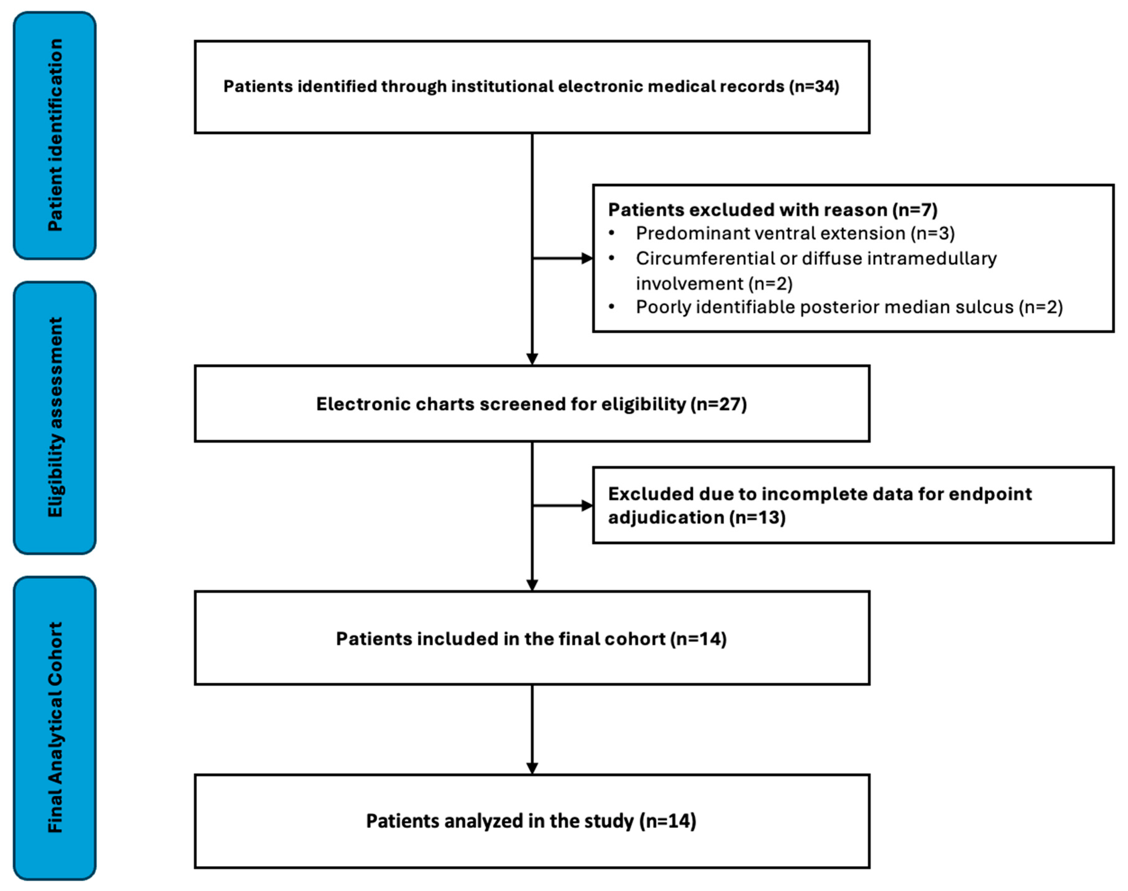 Modified Hemilaminectomy for Bilateral Exposure in Intramedullary ...