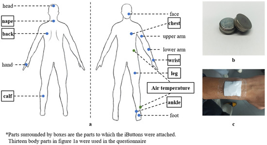 Quantitative Investigation of Body Part Selection for Data-Driven ...