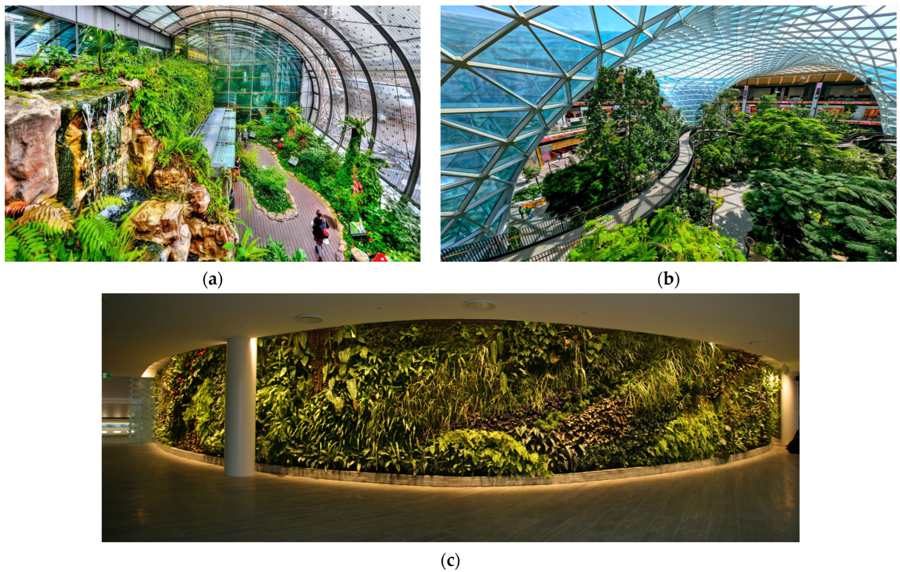 Biophilia in Transit: Exploring the Impact of Indoor Plants on ...