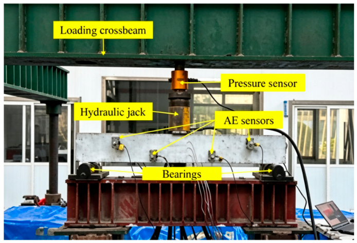 COA-Optimized Kernel K-Means Clustering for Identifying Acoustic ...