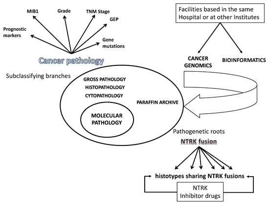 Cancer Classification at the Crossroads