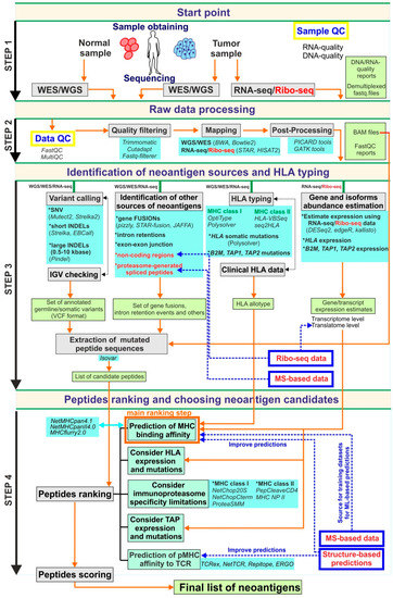Main Strategies for the Identification of Neoantigens