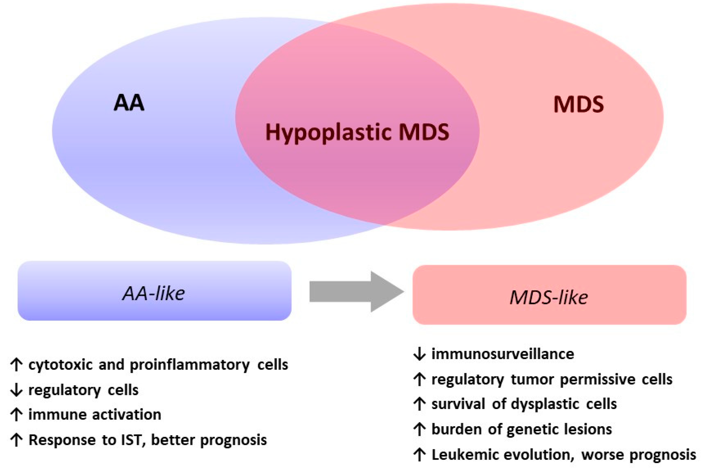 Cancers Free Full Text Hypoplastic Myelodysplastic Syndromes Just Cancers Free Full Text Hypoplastic Myelodysplastic Syndromes Just