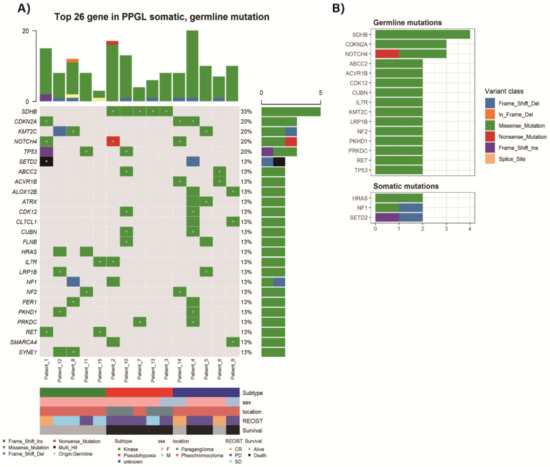 Cancers | Free Full-Text | Mutation Profile of Aggressive ...