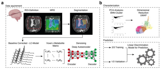 Mapping of Metabolic Heterogeneity of Glioma Using MR-Spectroscopy