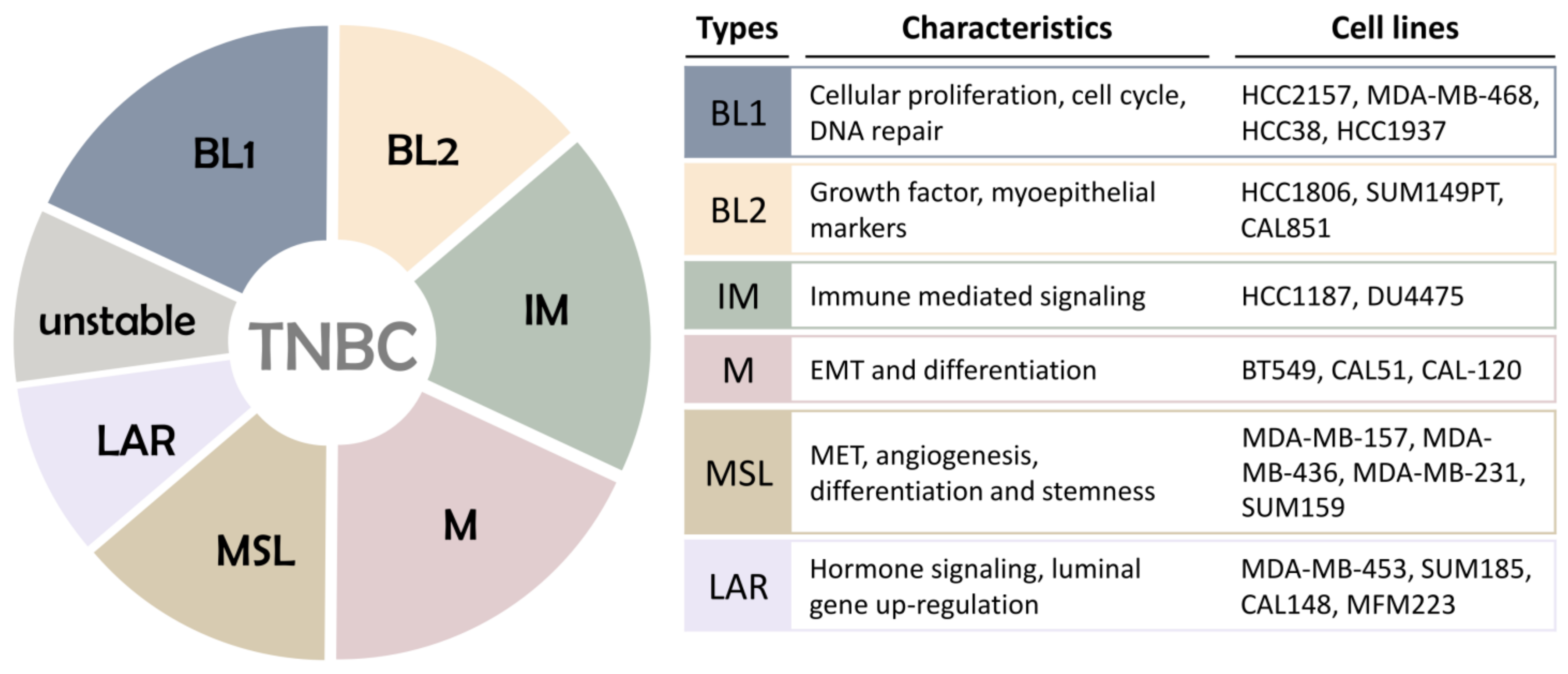 Cancers Free Full Text Pathogenesis And Potential Therapeutic Cancers Free Full Text Pathogenesis And Potential Therapeutic