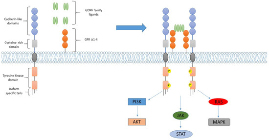 RET Inhibitors in Non-Small-Cell Lung Cancer