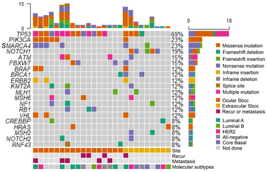 Targeted Sequencing Revealed Distinct Mutational Profiles of Ocular and ...