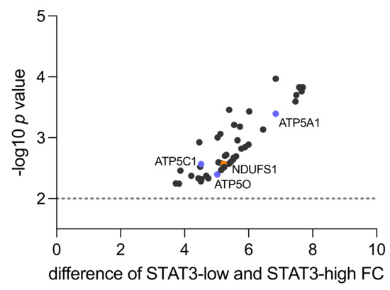 Proteomic Analysis Identifies NDUFS1 and ATP5O as Novel Markers for ...