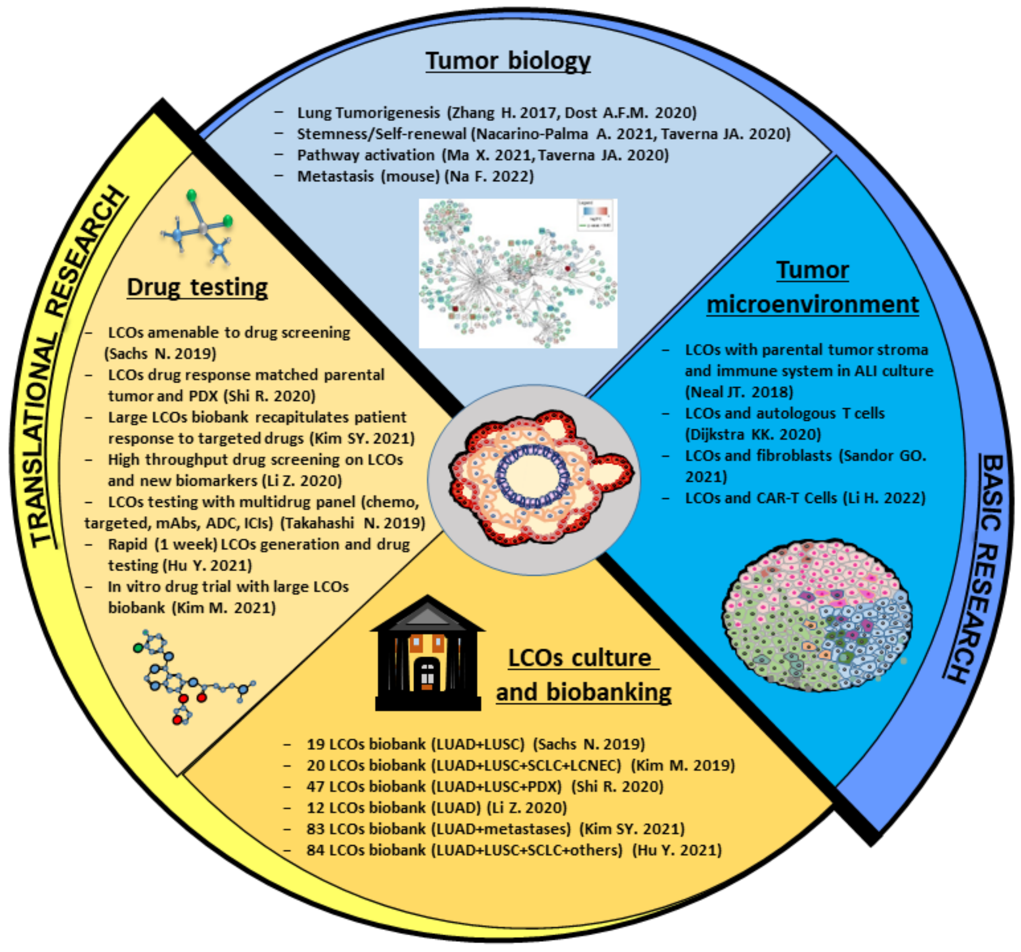 Cancers Free Full Text Lung Cancer Organoids The Rough Path To Cancers Free Full Text Lung Cancer Organoids The Rough Path To