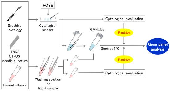 Cancers | Free Full-Text | A Prospective Validation Study of Lung ...