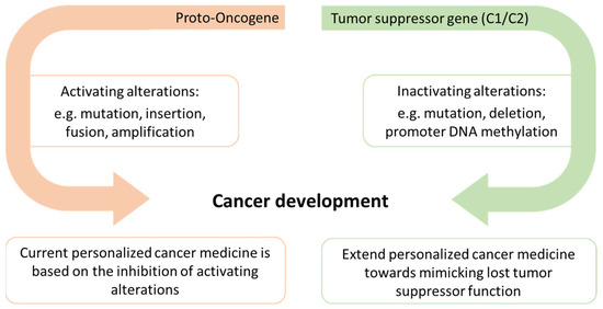 Cancers | Free Full-Text | White Paper: Mimetics of Class 2 Tumor ...