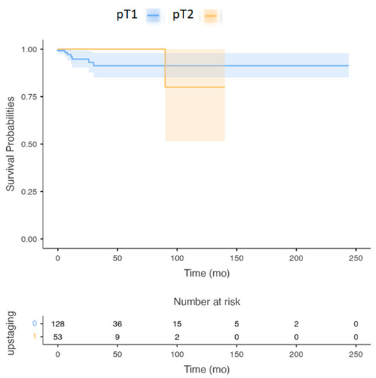 Clinical and Prognostic Significance of the Eighth Edition Oral Cancer ...