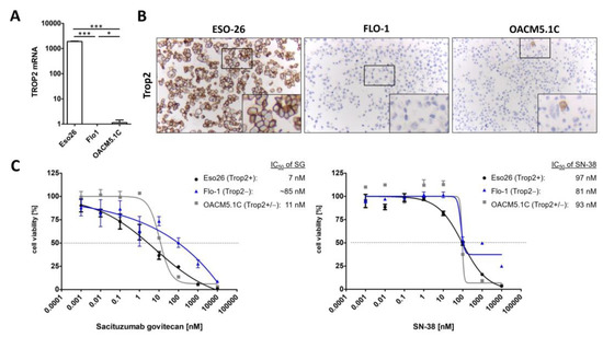 Trophoblast Cell Surface Antigen 2 (TROP2) as a Predictive Bio-Marker ...