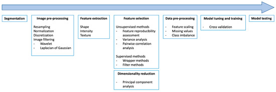 Oncologic Imaging and Radiomics: A Walkthrough Review of Methodological ...