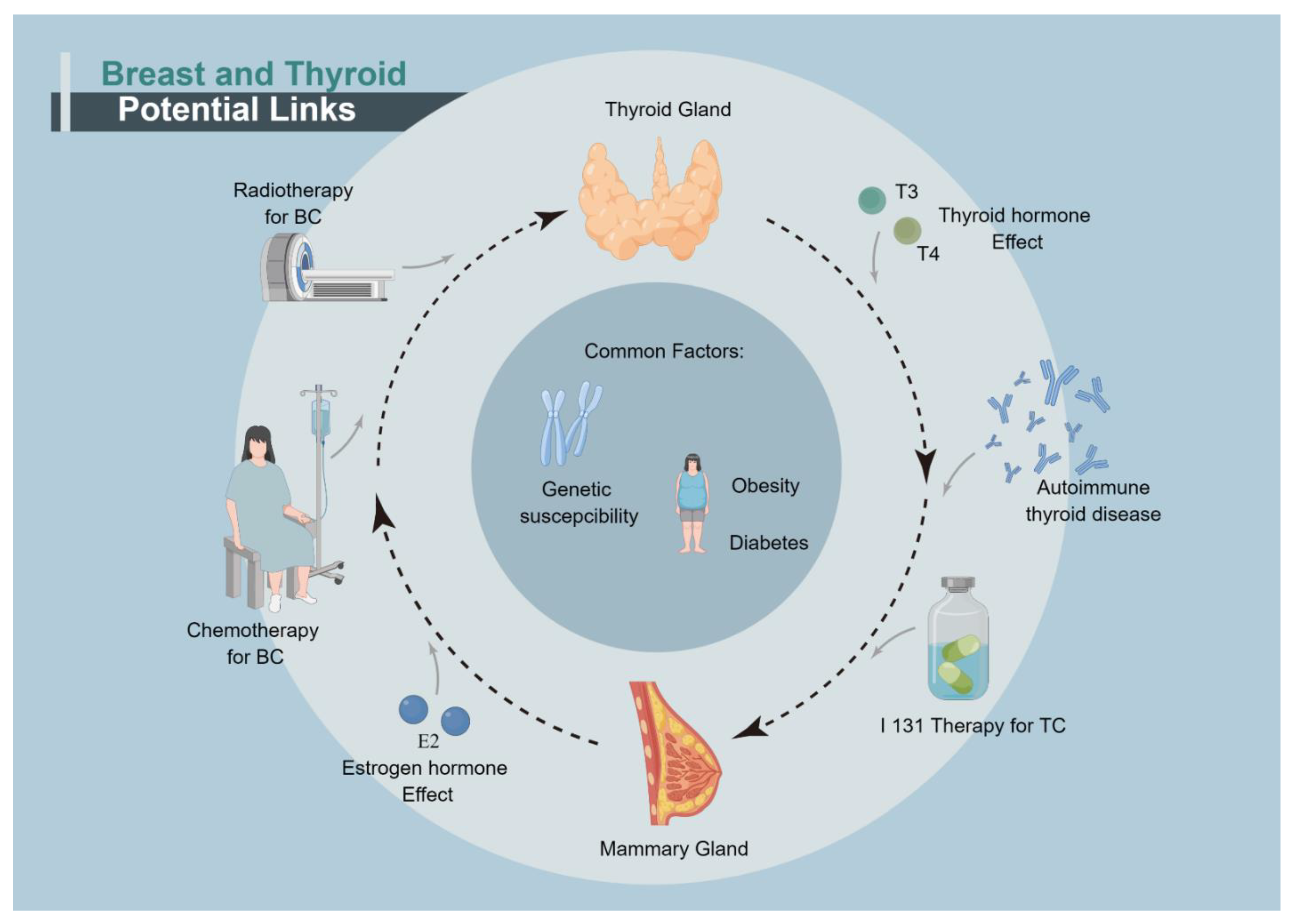 Cancers Free Full Text Links Between Breast And Thyroid Cancer Cancers Free Full Text Links Between Breast And Thyroid Cancer