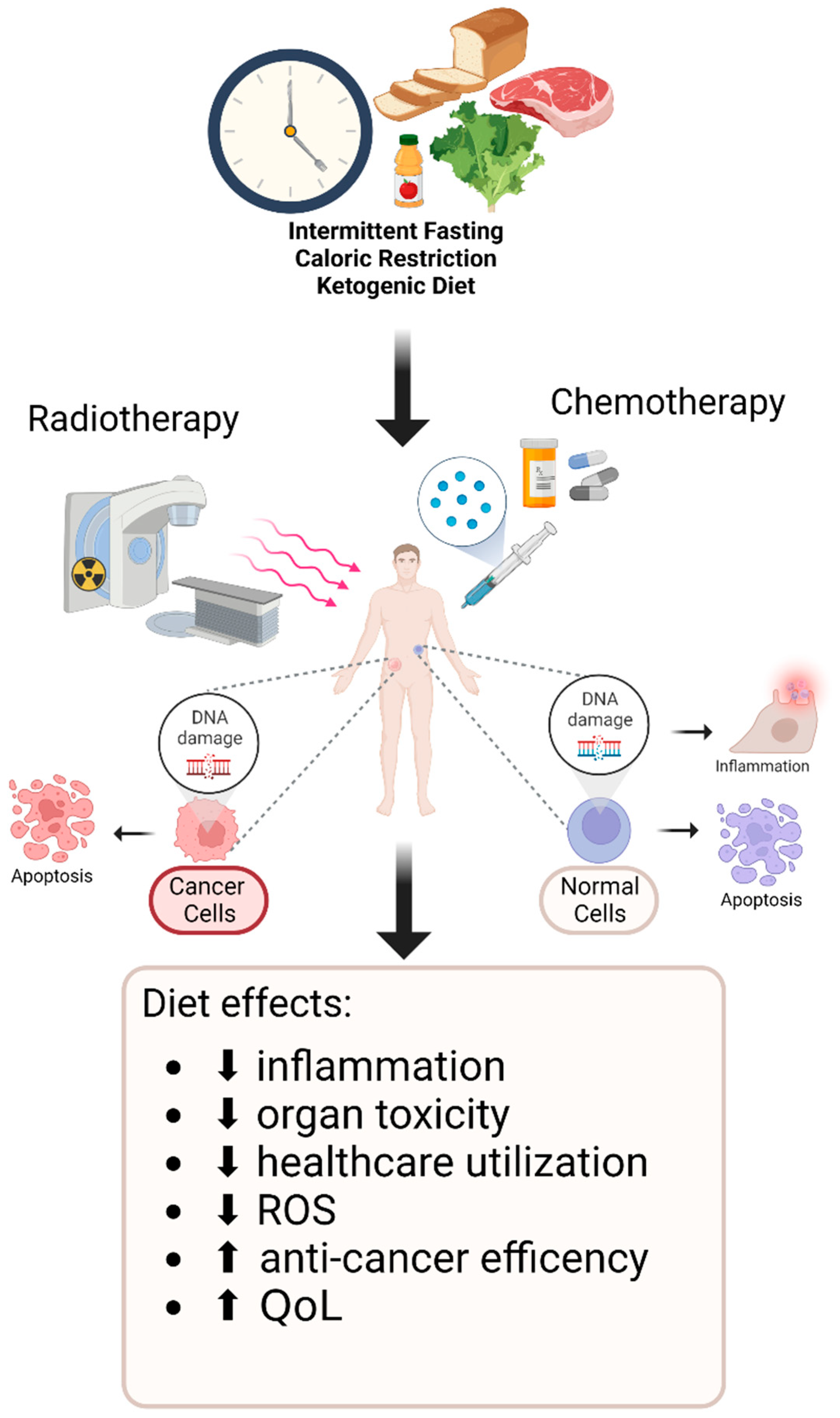 Dietary Interventions In Cancer Treatment And Response A Comprehensive Dietary Interventions In Cancer Treatment And Response A Comprehensive