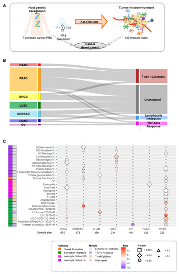 Polygenic Risk Scores Associated with Tumor Immune Infiltration in ...