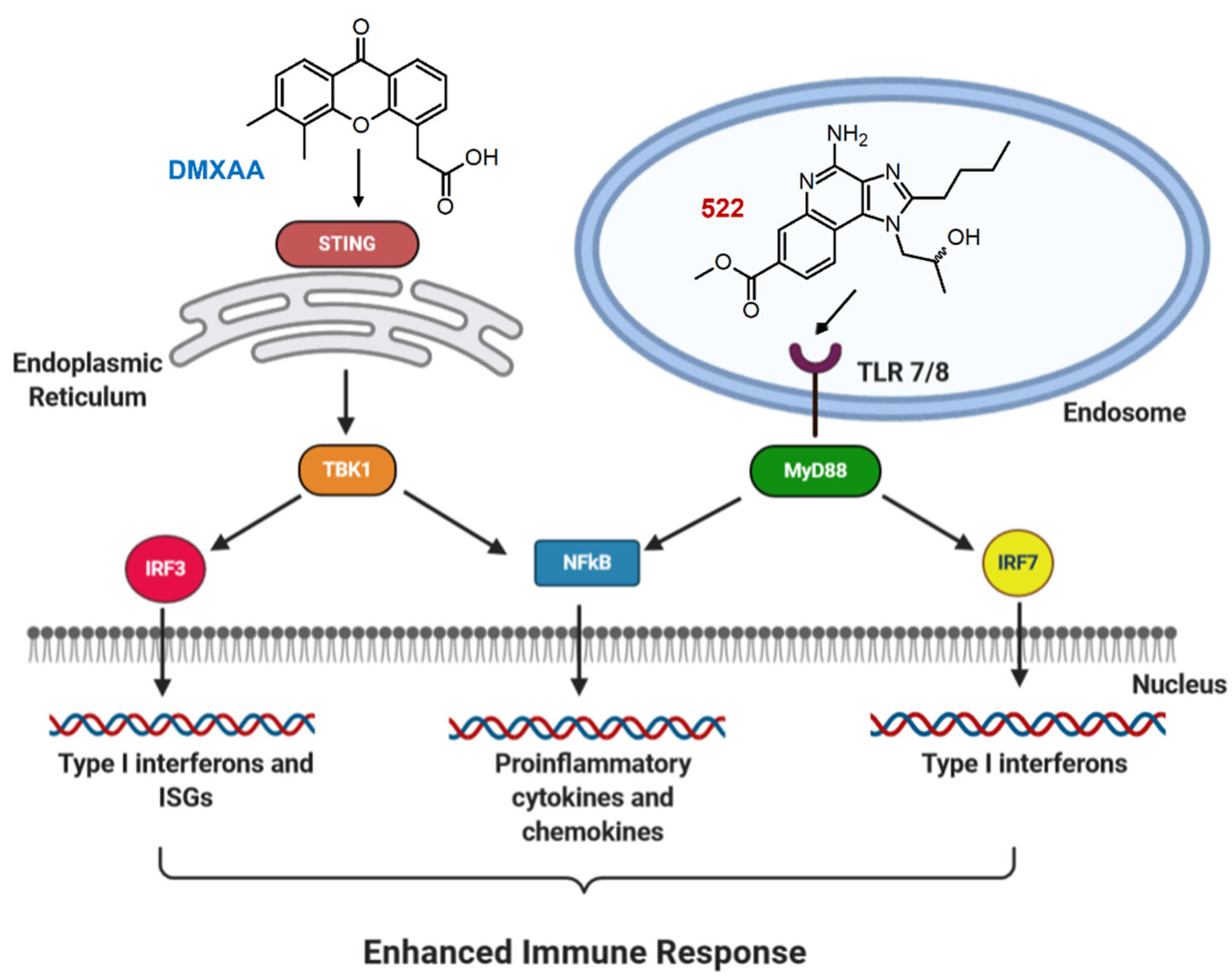 Combination Of STING And TLR 7 8 Agonists As Vaccine Adjuvants For Combination Of STING And TLR 7 8 Agonists As Vaccine Adjuvants For