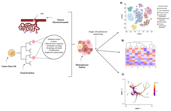 Single-Cell DNA Methylation Analysis in Cancer