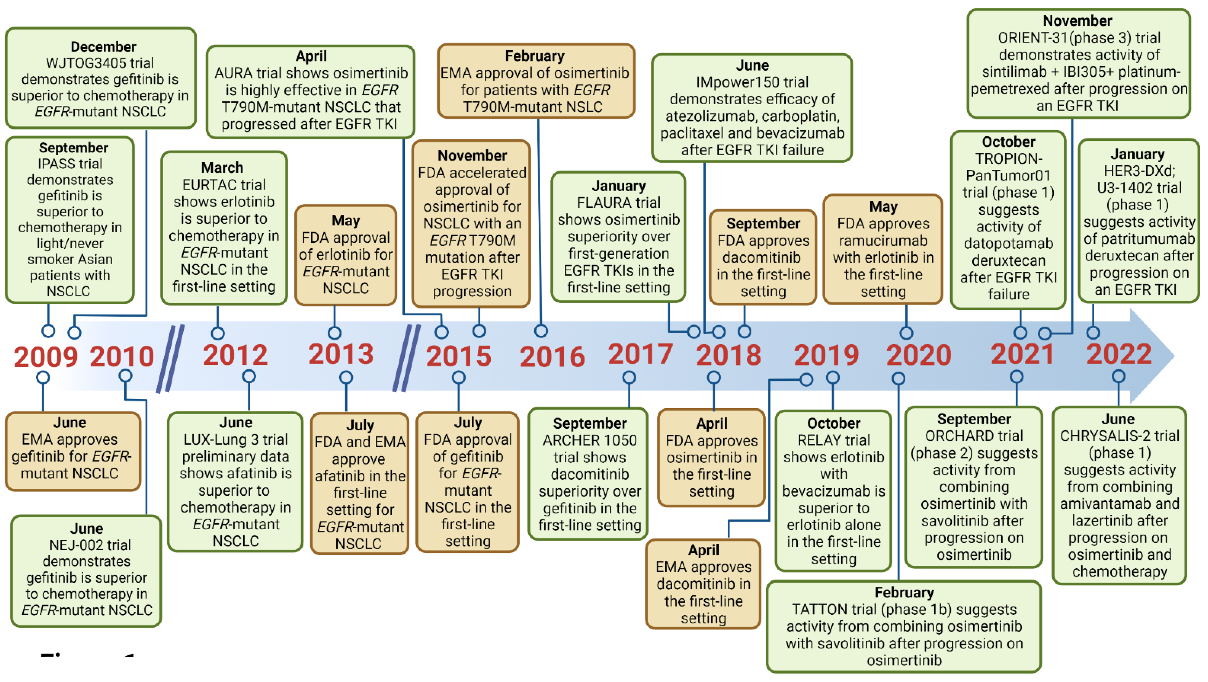Gcse History Lung Cancer At Shirl Ketner Blog Gcse History Lung Cancer At Shirl Ketner Blog