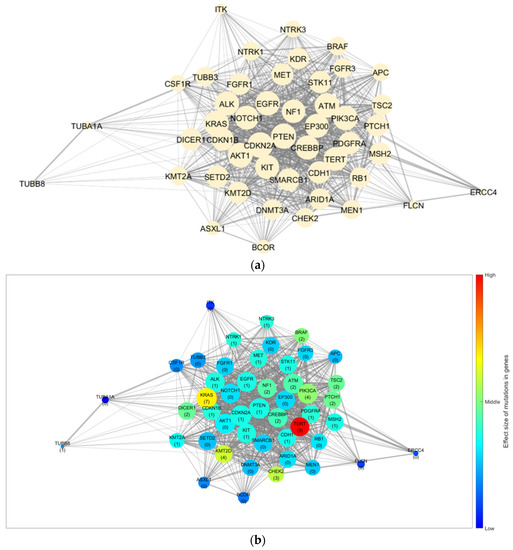 Clinicopathological and Genetic Characteristics of Patients of ...