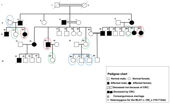 Variant Characterization of a Representative Large Pedigree Suggests “Variant Risk Clusters ...