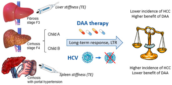 The Complex Interplay Relationship between HCV Infection, Direct-Acting ...