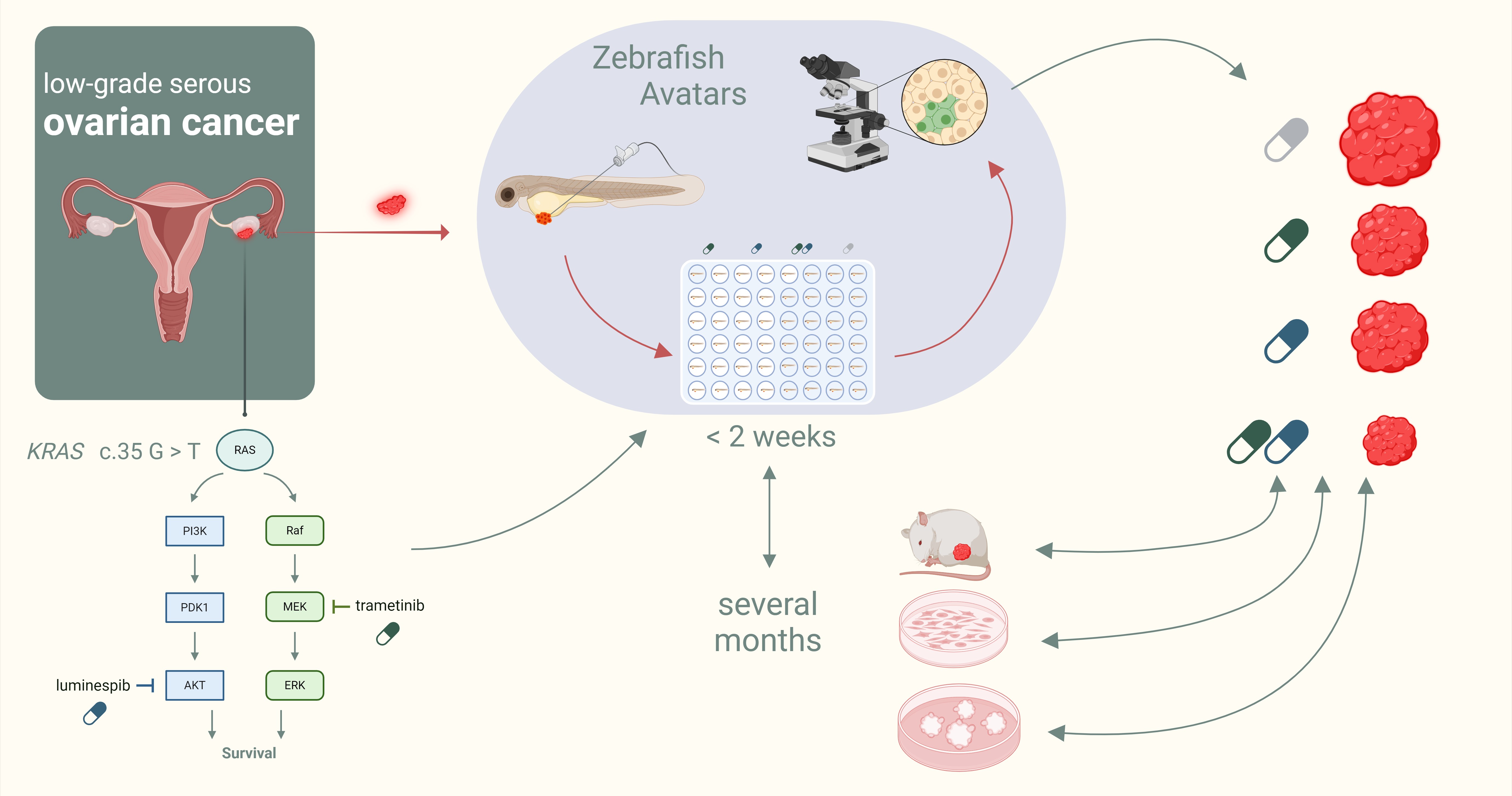 Cancers | An Open Access Journal from MDPI
