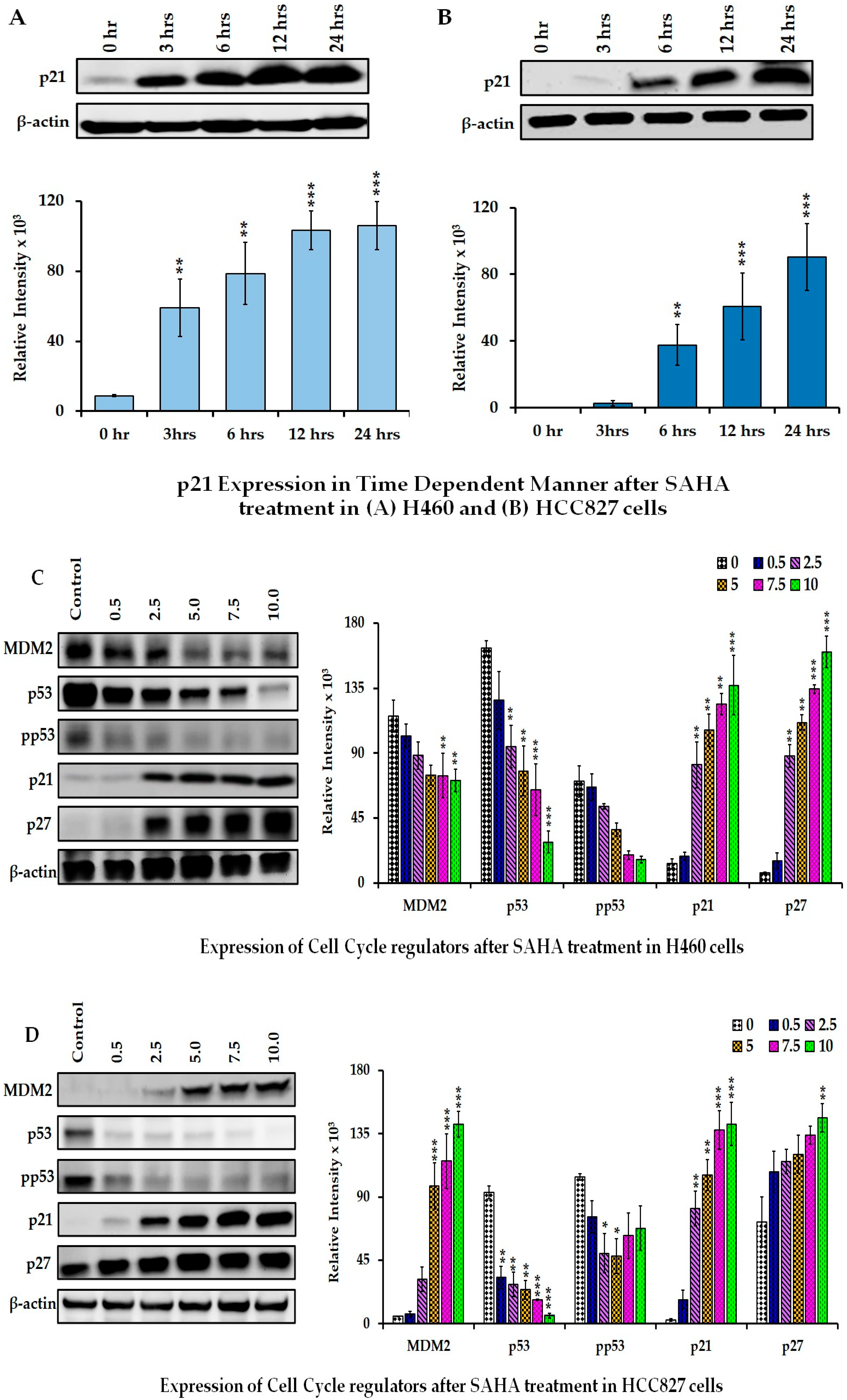 Regulation of PD-L1 Expression by SAHA-Mediated Histone Deacetylase ...