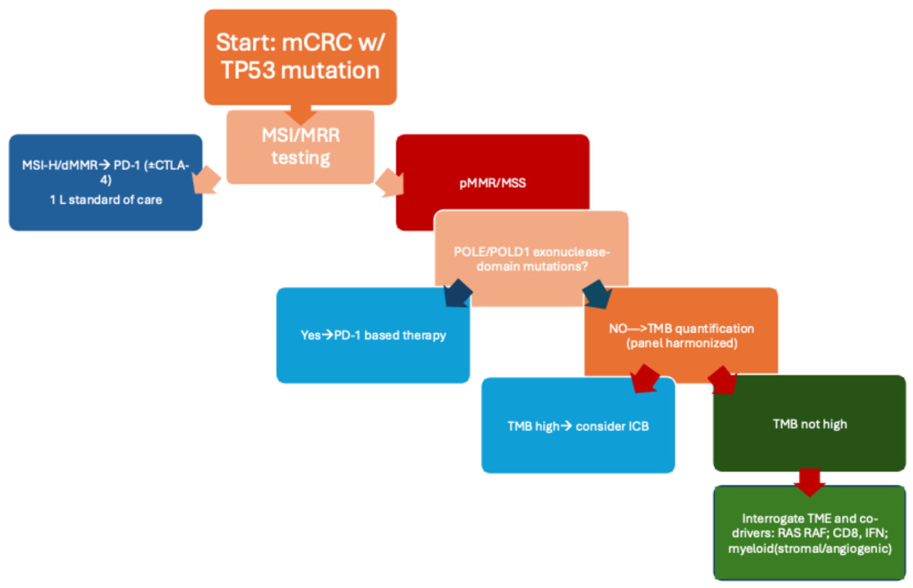 Can TP53, TMB and TME Expand the Immunotherapy Benefit in Metastatic ...