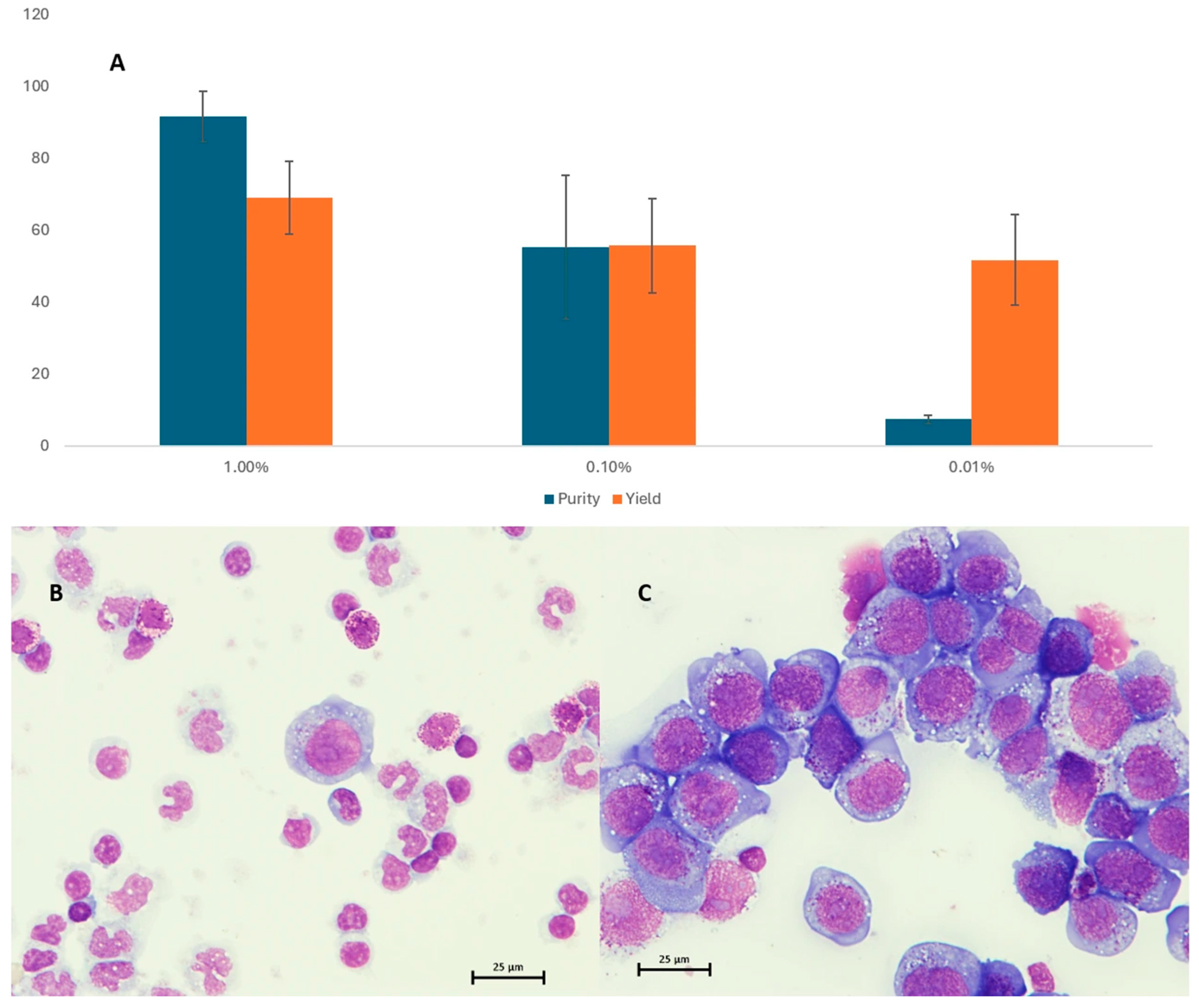 Comparative Analysis of Bone Marrow, cfDNA and CTCs for NGS-Based ...