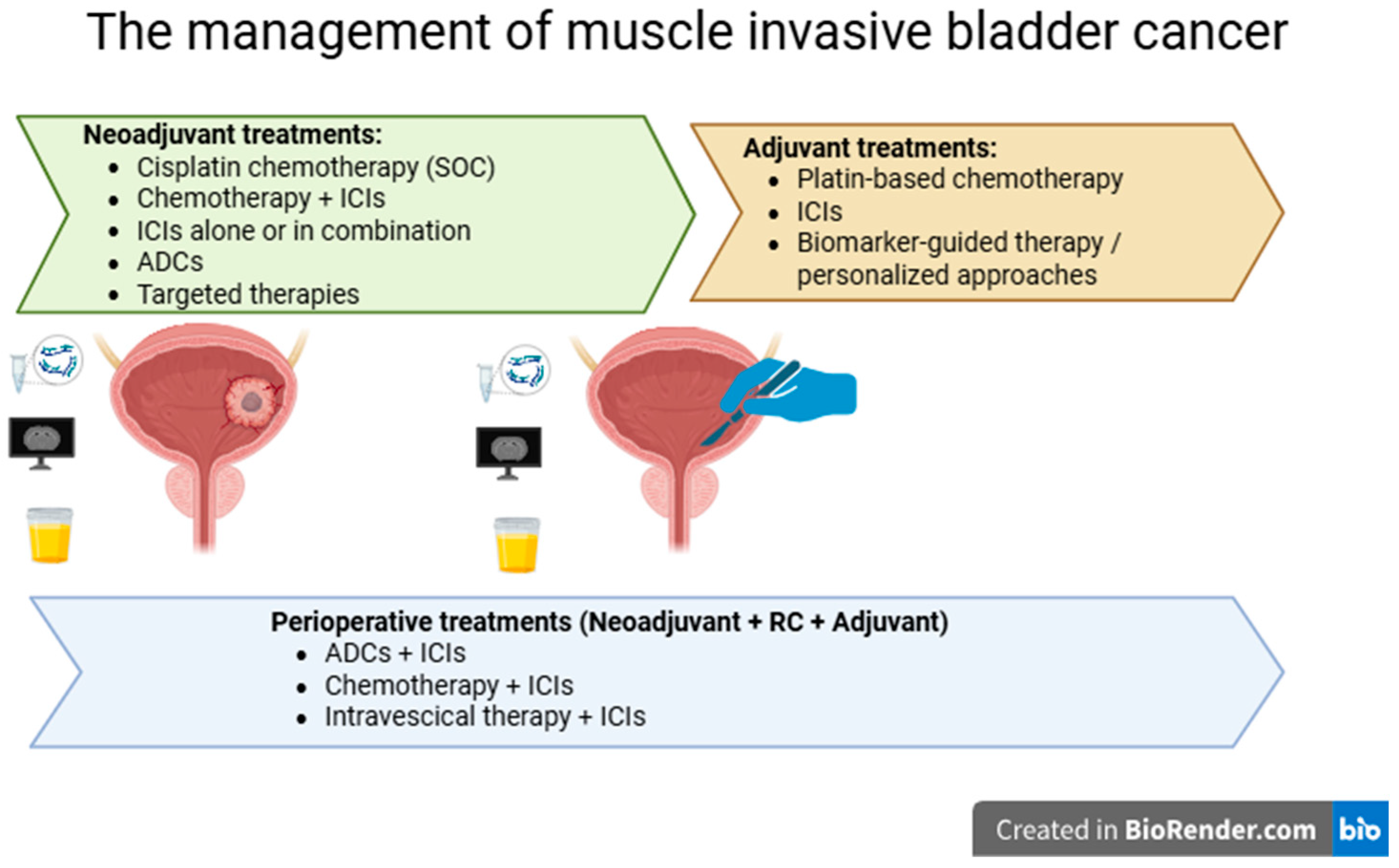 The Management of Muscle Invasive Bladder Cancer: State of the Art and ...