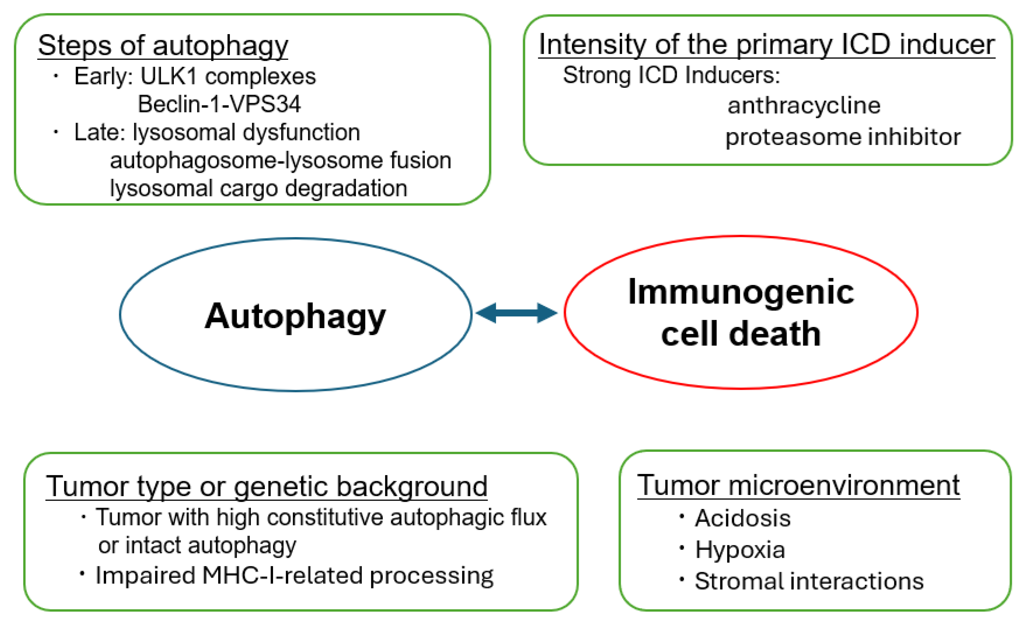 Autophagy Modulates Immunogenic Cell Death in Cancer
